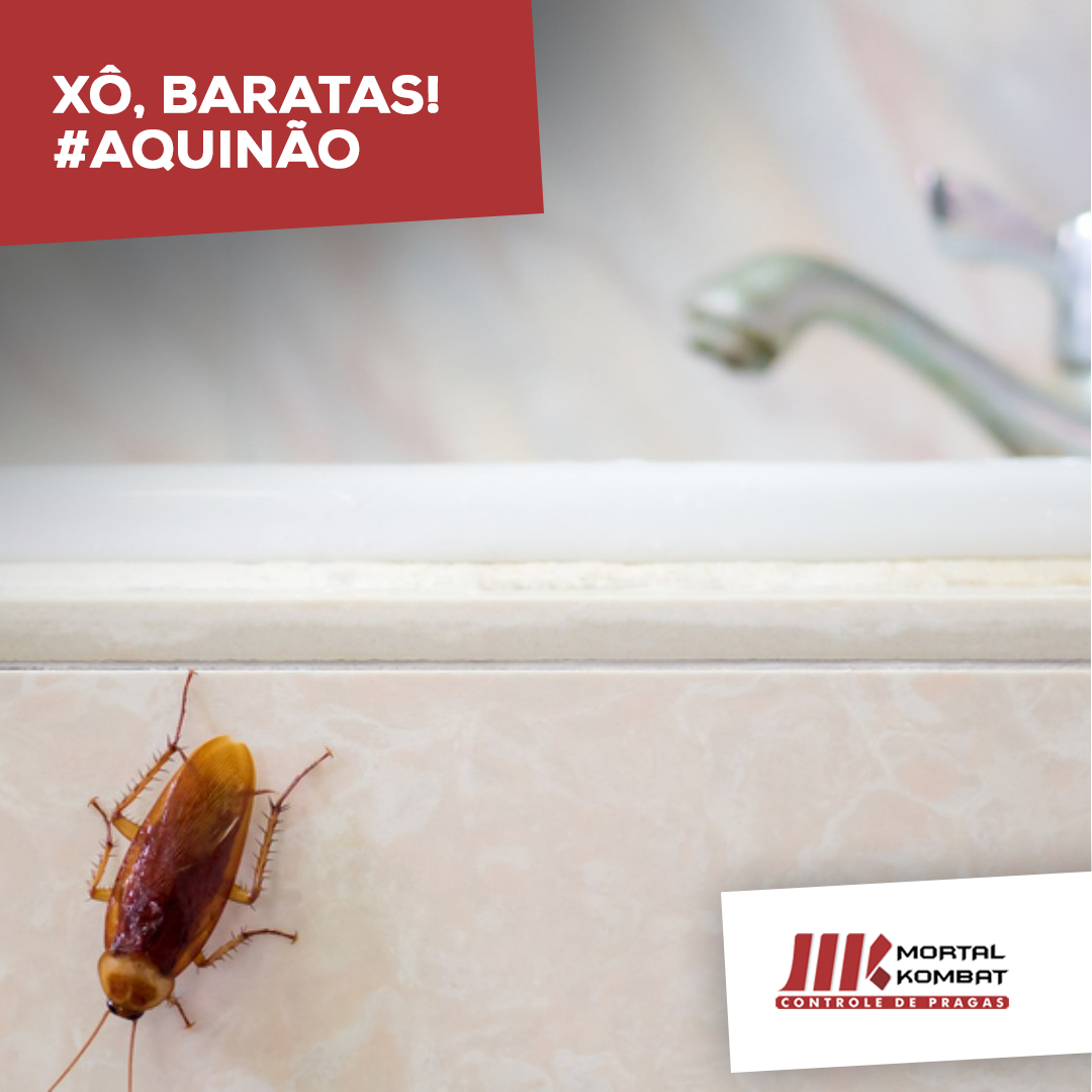 Serviços – Mortal Kombat Dedetizadora em Uberlândia